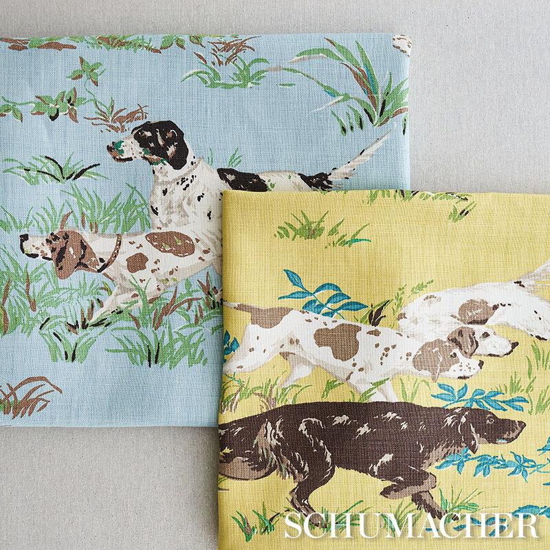 Pointers - Sky Fabrics | Schumacher