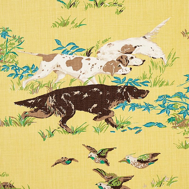 Pointers - Yellow Fabrics | Schumacher