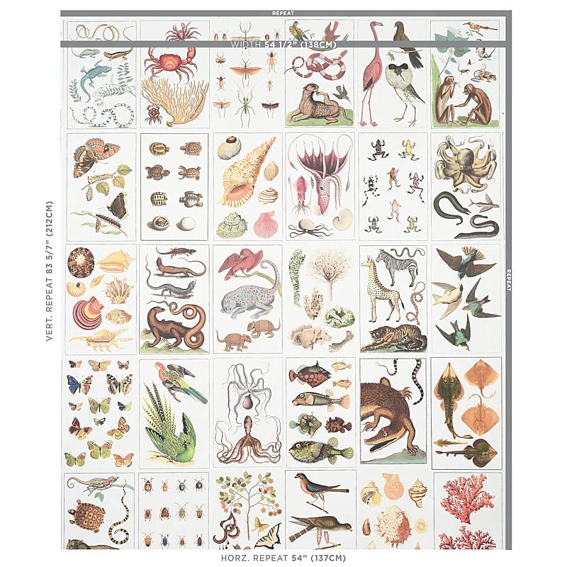 Bauhin - Document Multi Wallpapers | Schumacher