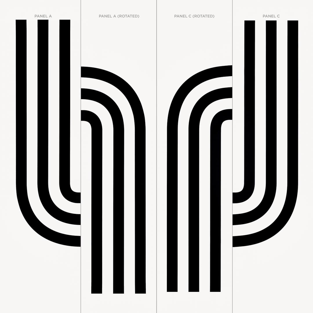 Virginia Panel C - Black Wallpapers | Schumacher