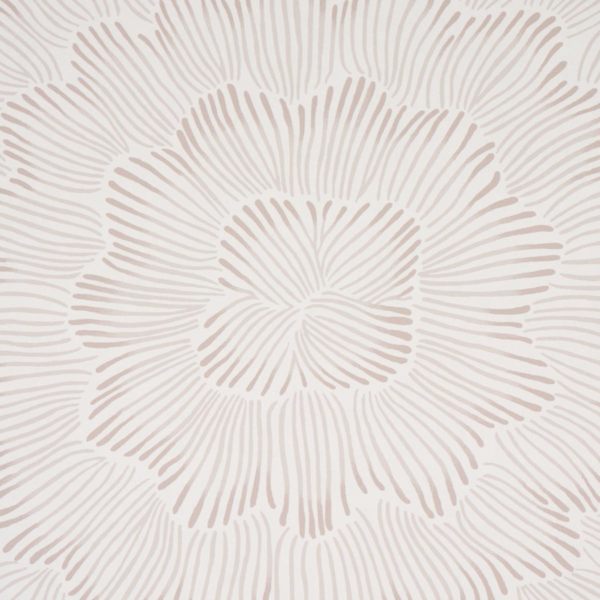 Feather Bloom - Soft Neutral Wallpapers | Schumacher