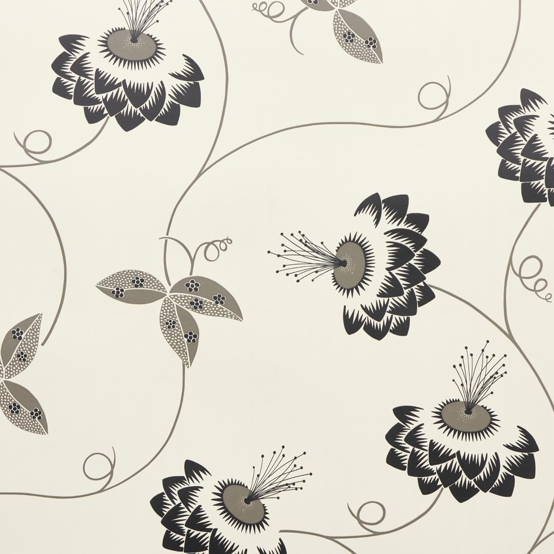 Merlin - Black & Cream Wallpapers | Schumacher