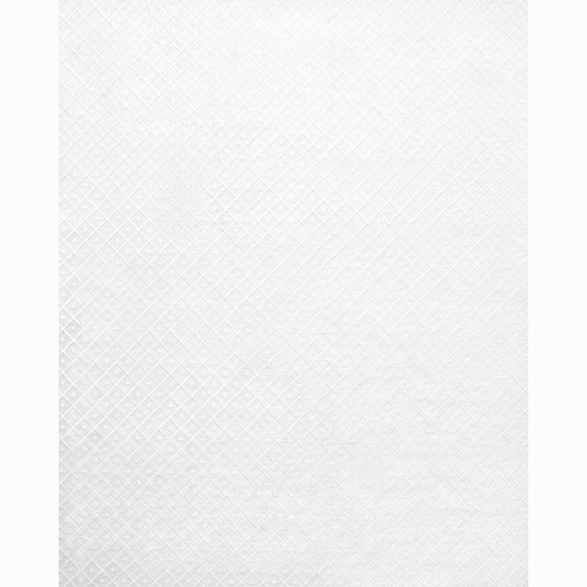 Isabella Sheer Embroidery - Ivory Fabrics | Schumacher