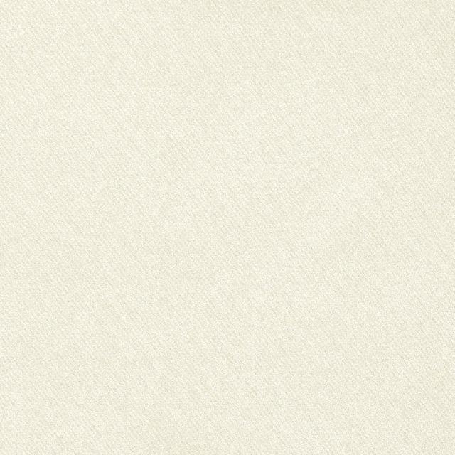Blake Polished Cotton - Blonde Fabrics | Schumacher