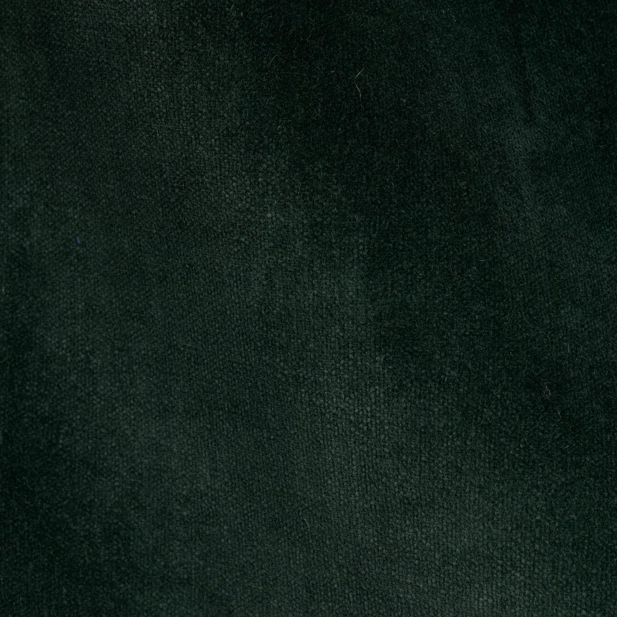 Rocky Performance Velvet - Pine Fabrics | Schumacher
