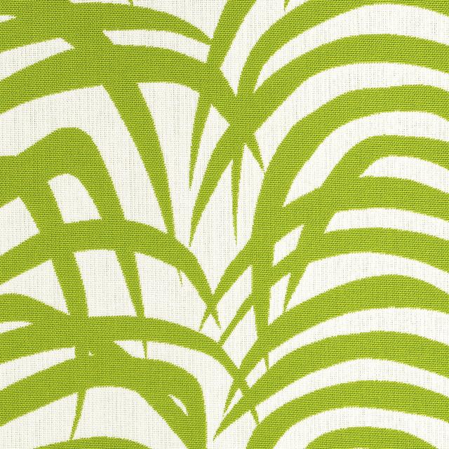 Zebra Palm Woven Indoor/Outdoor - Green Fabrics | Schumacher