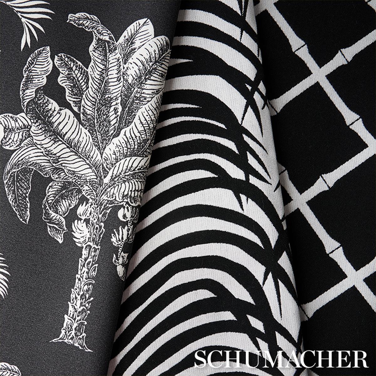 Zebra Palm Indoor/Outdoor - Black Fabrics | Schumacher