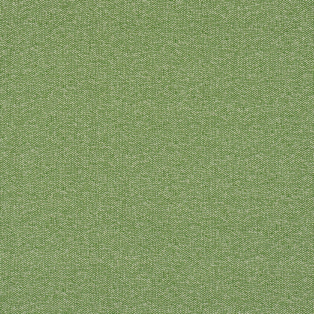 Gus Indoor/Outdoor - Grass Fabrics | Schumacher