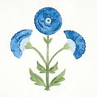 Saranda Flower - Royal Wallpapers | Schumacher
