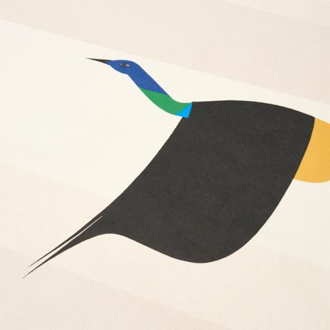 Flying West - Neutral Wallpapers | Schumacher