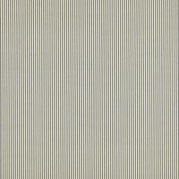 Charee Silk Stripe - Black & White Fabrics | Schumacher