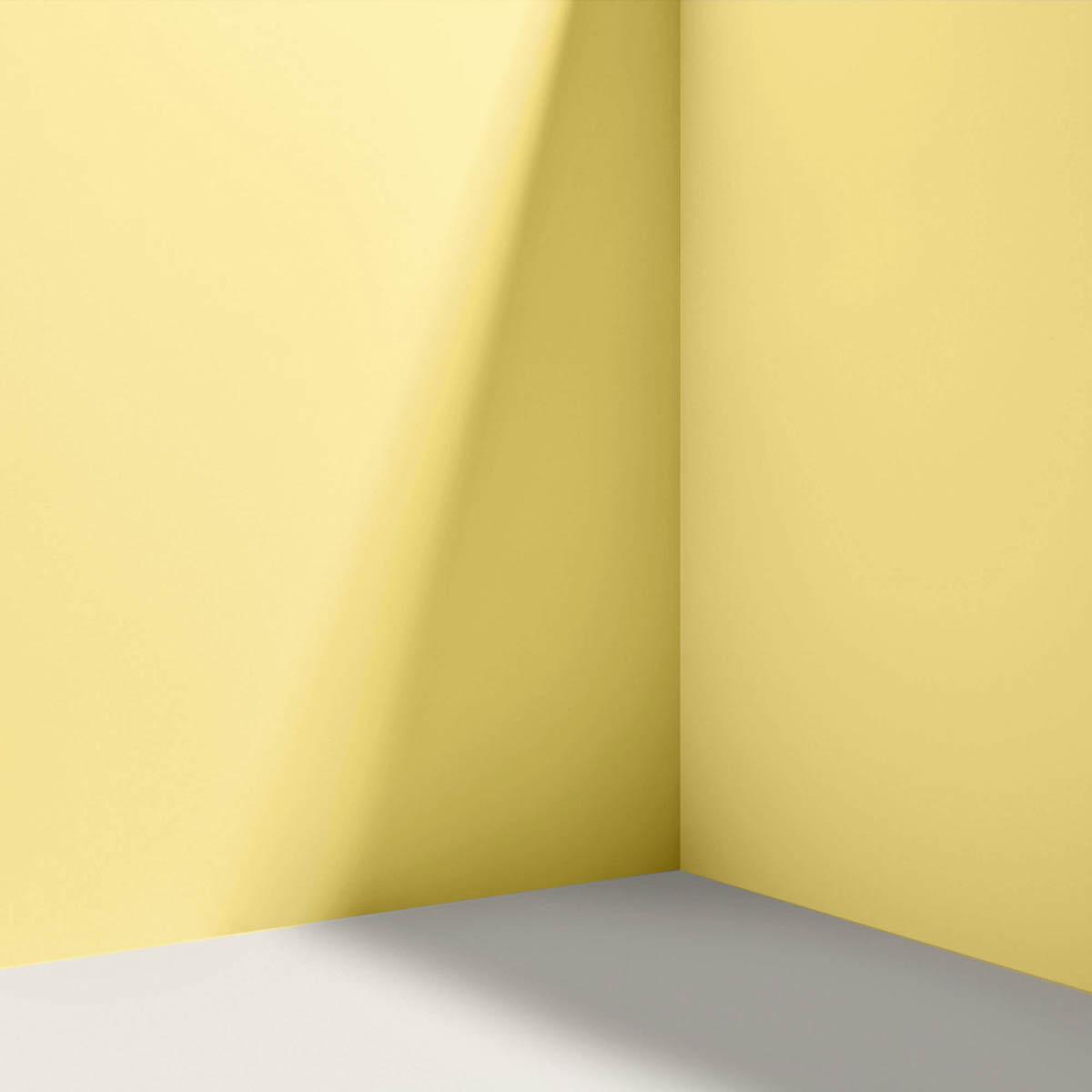 Disco Nap - Light Acid-Yellow Paint | Schumacher