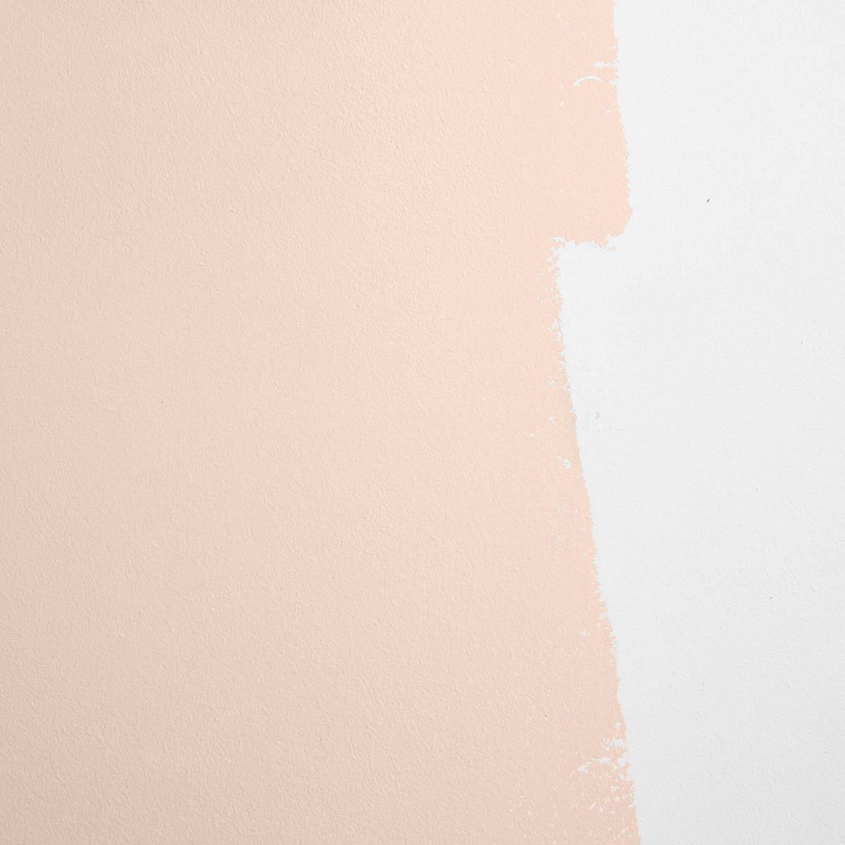 Modern Love - Warm, Muted Pink Paint | Schumacher