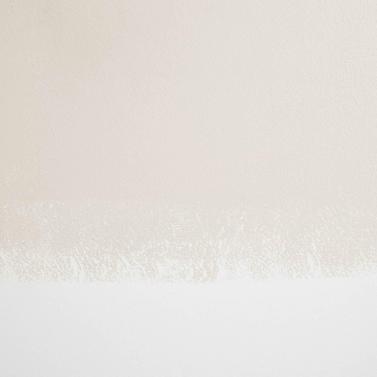 Morning Ritual - Light Gray-Beige With Warm Undertones Paint | Schumacher