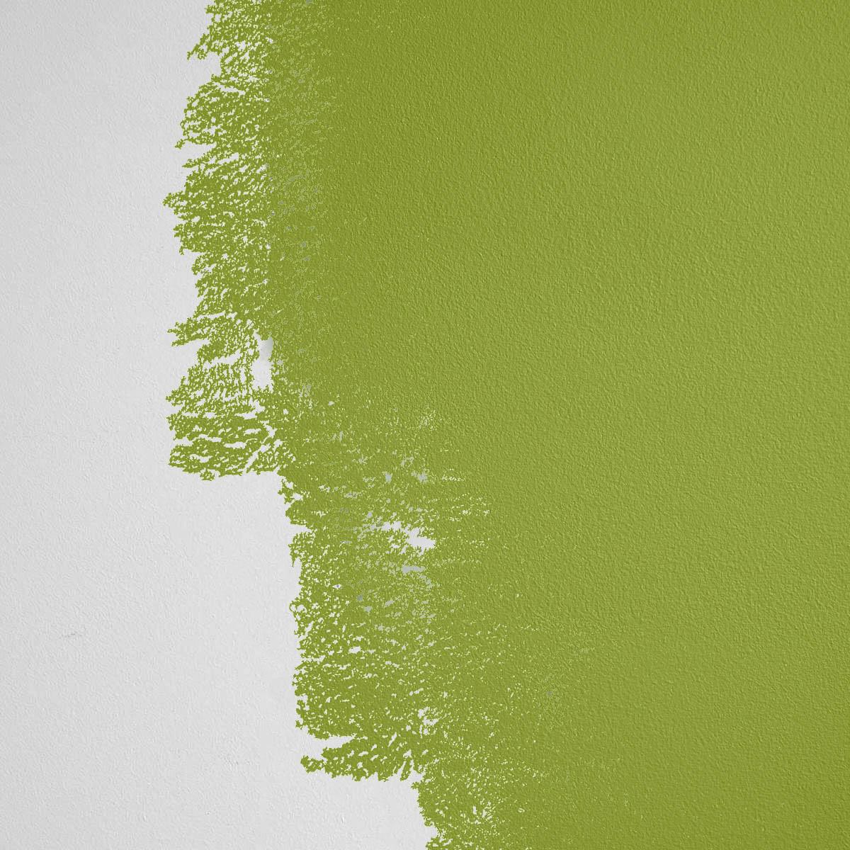 Pretty Ugly - Vibrant, Bold Olive Green Paint | Schumacher