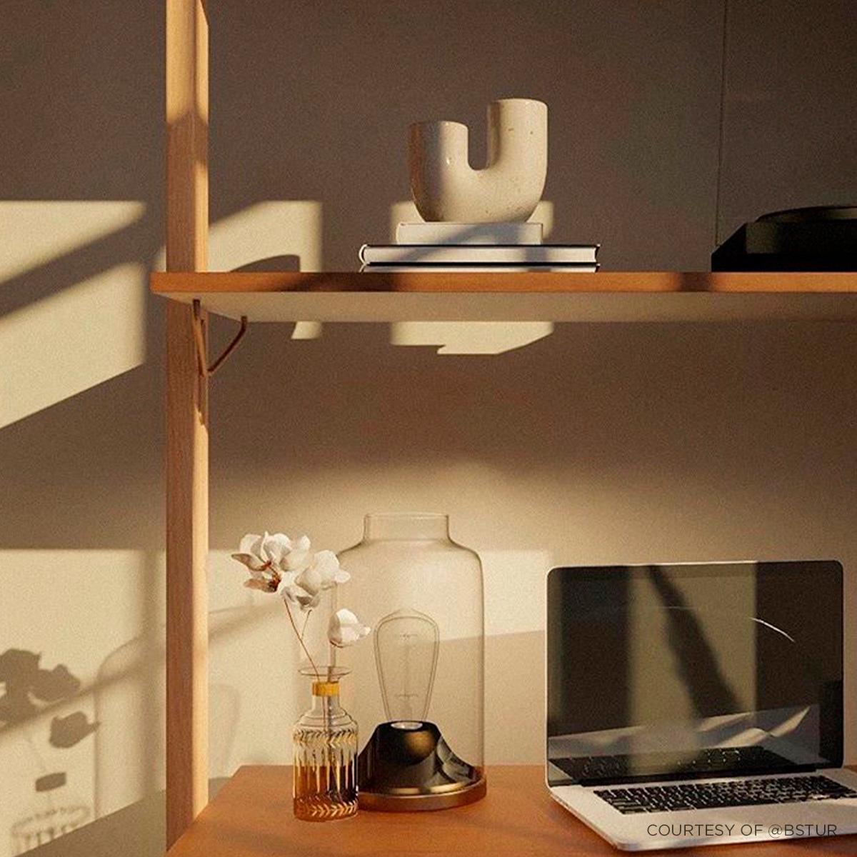 Palo Santo - Earthy Yellow-Beige Paint | Schumacher