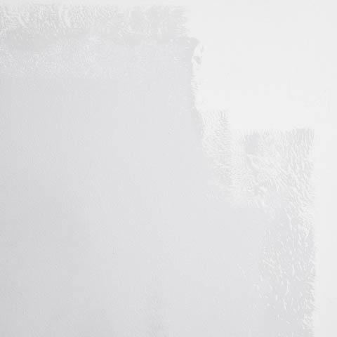 West Coast Ghost - Super Light Gray With Blue Undertones Paint | Schumacher